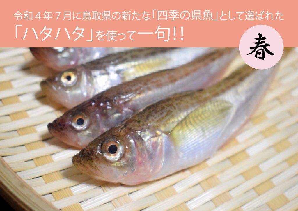 第1回四季の県魚川柳コンテスト | 公募/コンテスト/コンペ情報なら「Koubo」