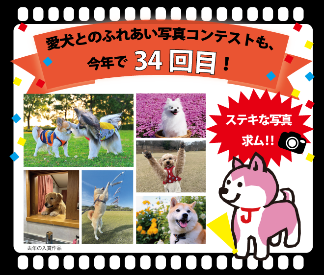 2025 第34回 愛犬とのふれあい写真コンテスト | 公募/コンテスト/コンペ情報なら「Koubo」
