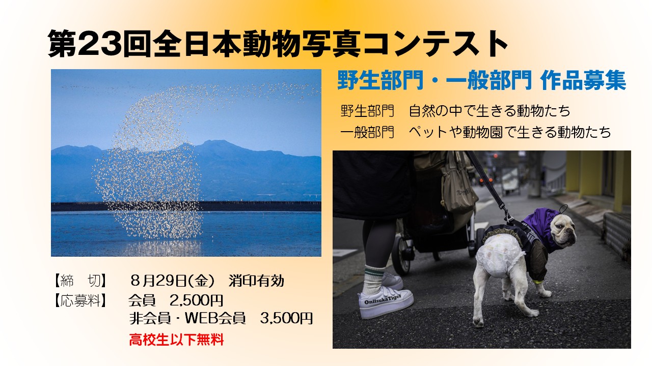 第23回全日本動物写真コンテスト | 公募/コンテスト/コンペ情報なら「Koubo」