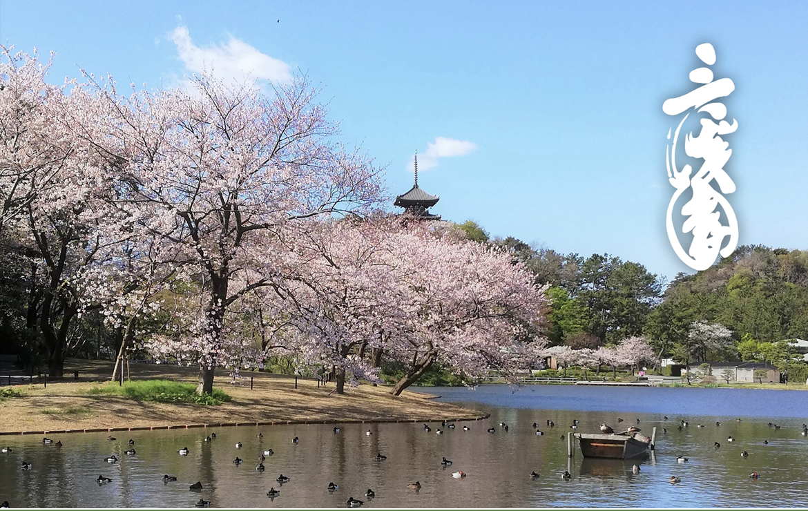 第35回 三溪園フォトコンテスト | 公募/コンテスト/コンペ情報なら「Koubo」
