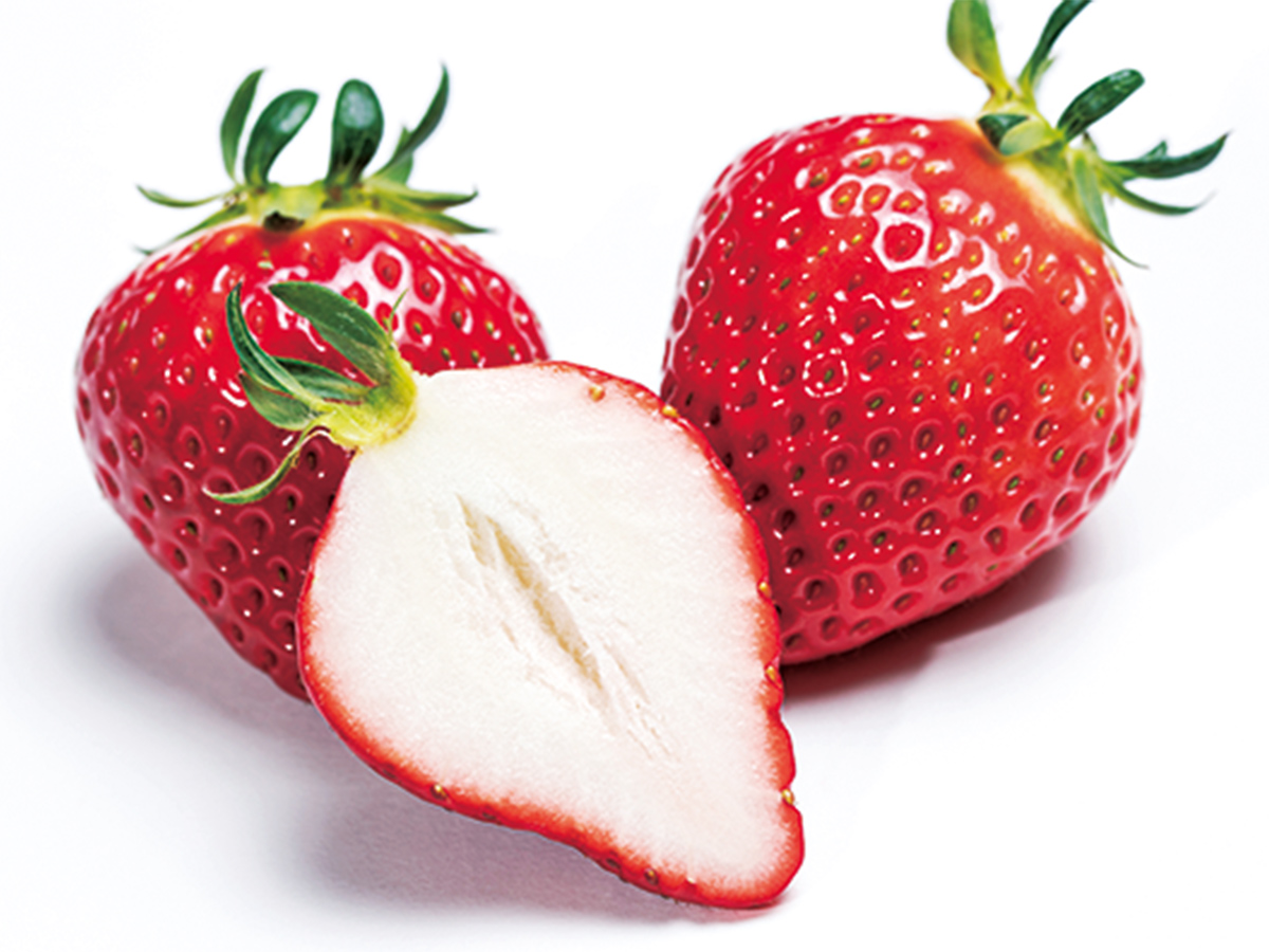 JA全農エプロン プレゼント | 公募/コンテスト/コンペ情報なら「Koubo」