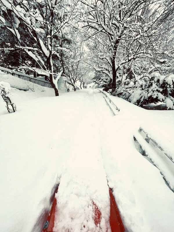 国際公募AIRプログラム2024-2025『わたしたちはうかんでいる』 | 公募/コンテスト/コンペ情報なら「Koubo」