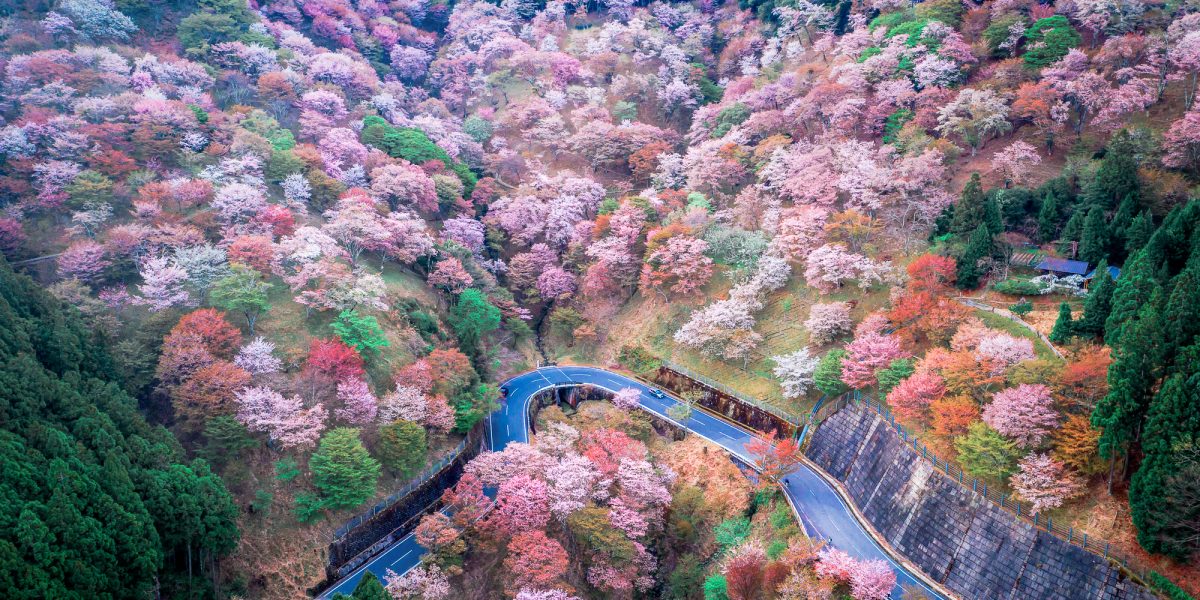 第1回 COEDO DRONE AWARD | 公募/コンテスト/コンペ情報なら「Koubo」