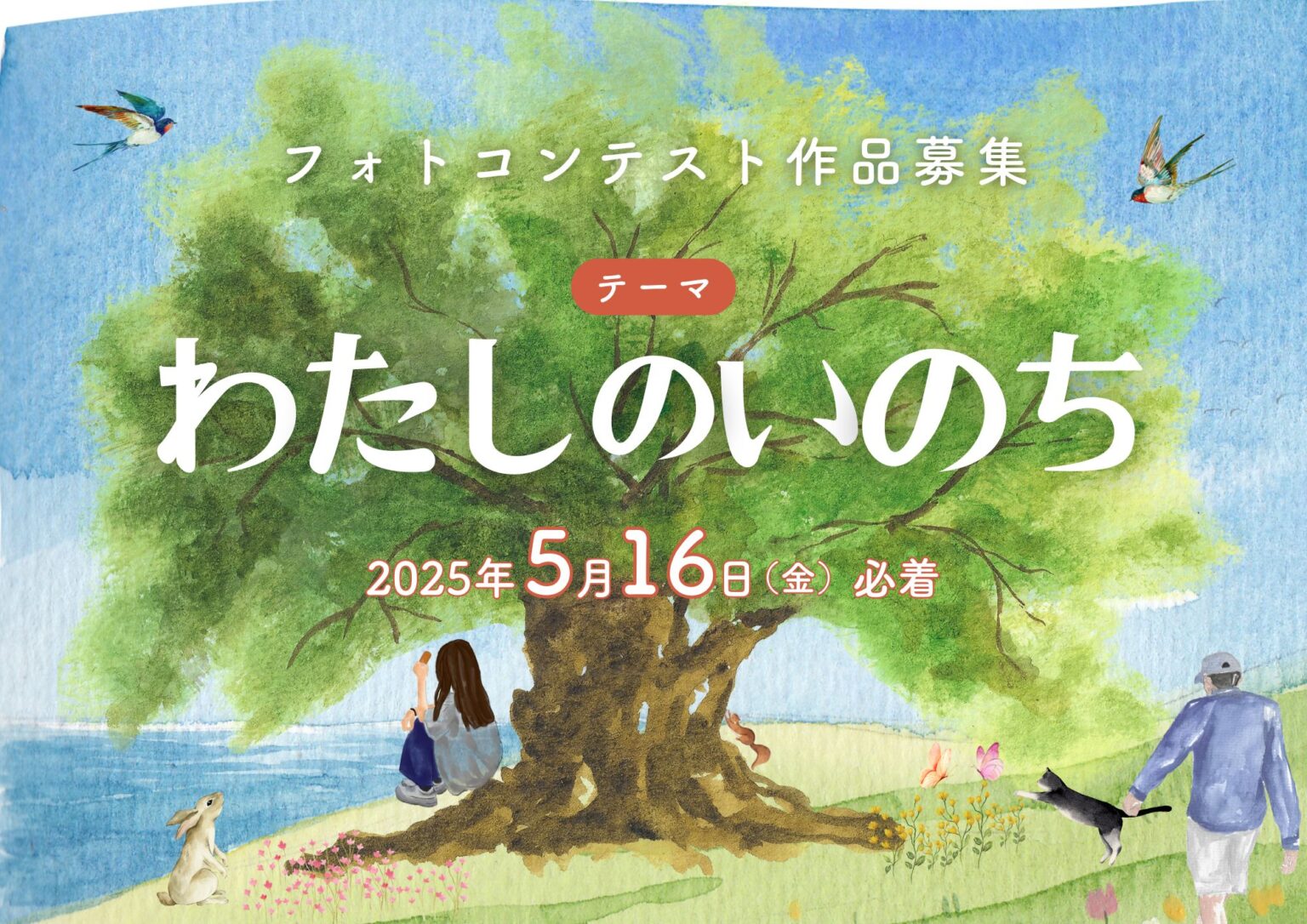 のうひ葬祭主催 「フォトコンテスト」作品募集 | 公募/コンテスト/コンペ情報なら「Koubo」