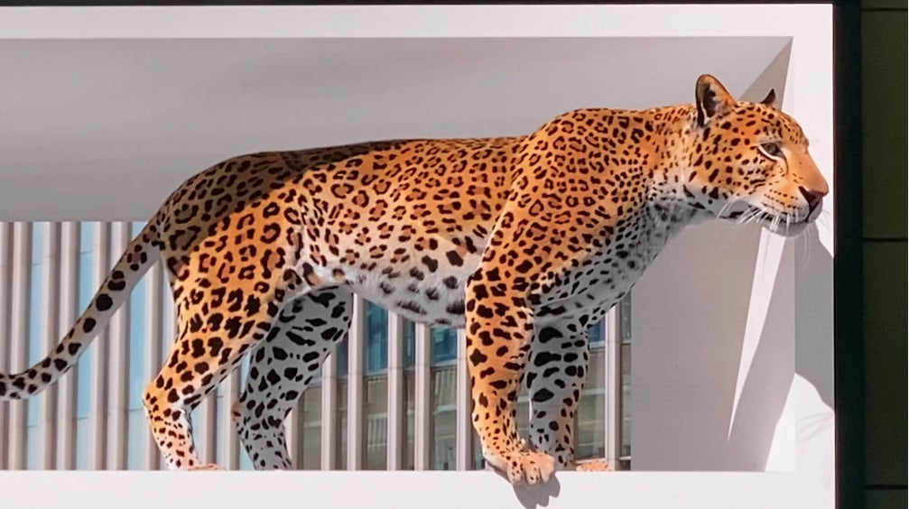 驚愕の3D広告！大阪駅の「アカツキ」が広告界を席巻、電通賞金賞の秘密とは | 公募/コンテスト/コンペ情報なら「Koubo」