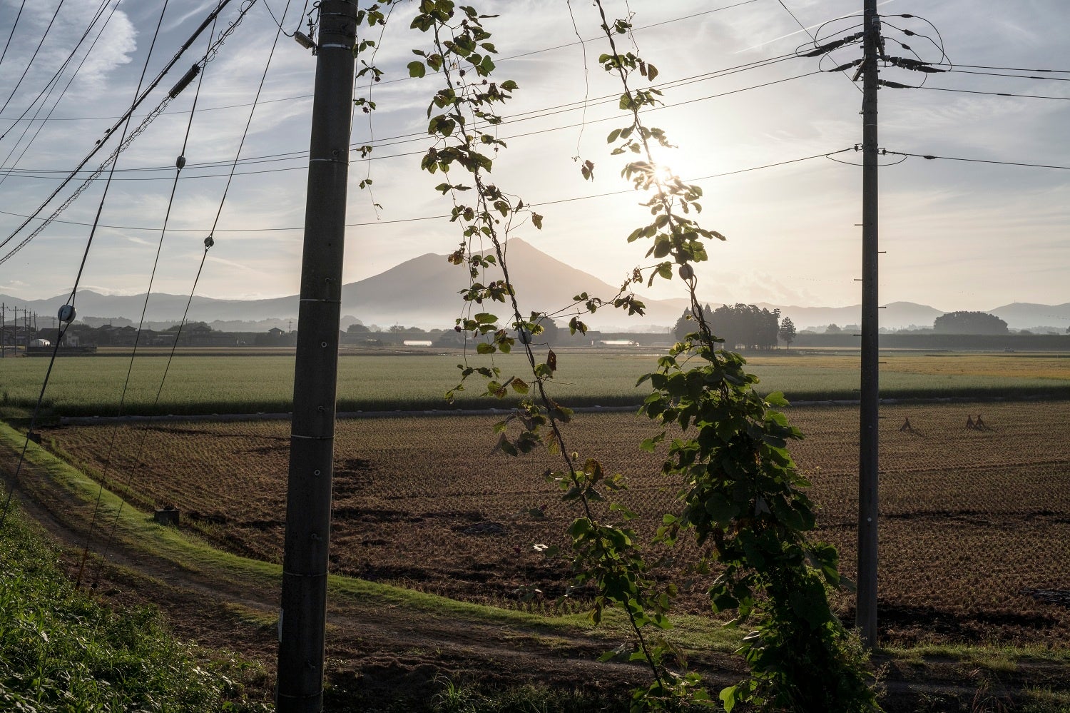 新たな風景写真の可能性を示す「路傍の光」が第六回入江泰𠮷記念写真賞を受賞、1月16日から奈良で展覧会開催 | 公募/コンテスト/コンペ情報なら「Koubo」